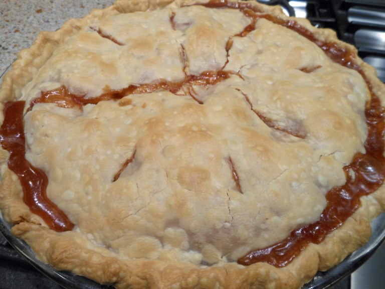 No Sugar Apple Pie | Dixie's Kitchen